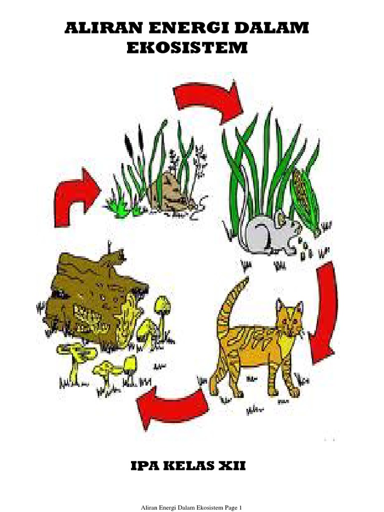 Aliran Energi Dalam Ekosistem | PDF | Kesehatan Holistik | Teknologi ...