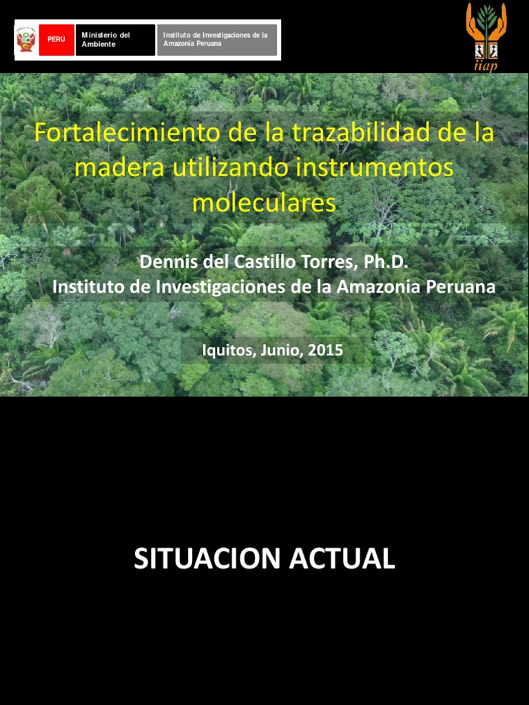 Madera Caoba | PDF | Perú | Selva amazónica