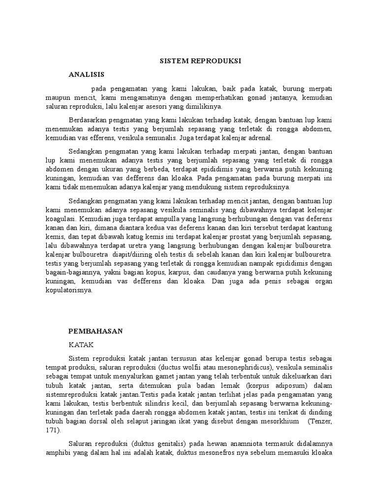 Analisis Dan Pembahasan Sistem Reproduksi Katak Jantan | PDF