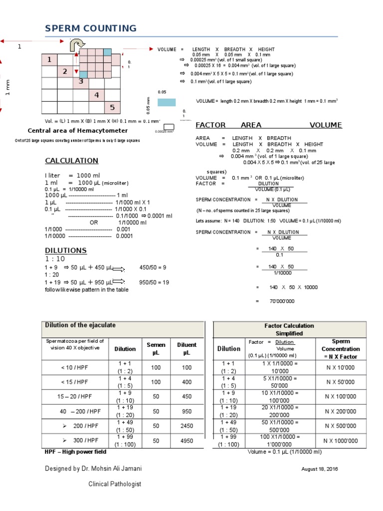 Sperm Counting: Central Area of Hemacytometer | PDF