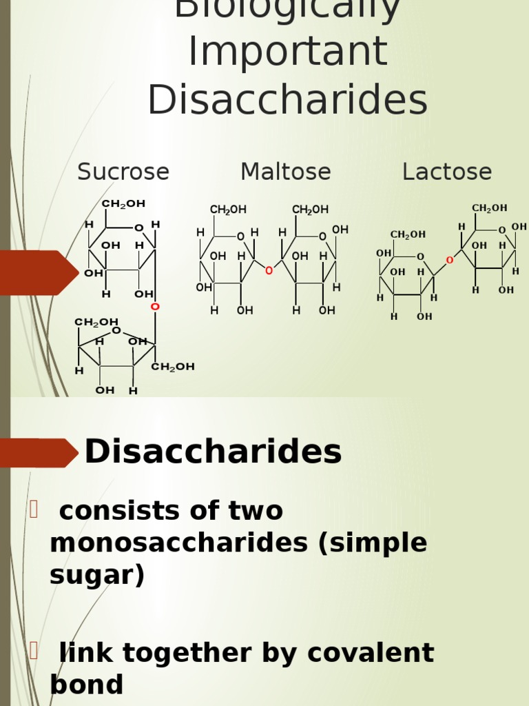 Disaccharides | PDF | Carbohydrates | Polysaccharide