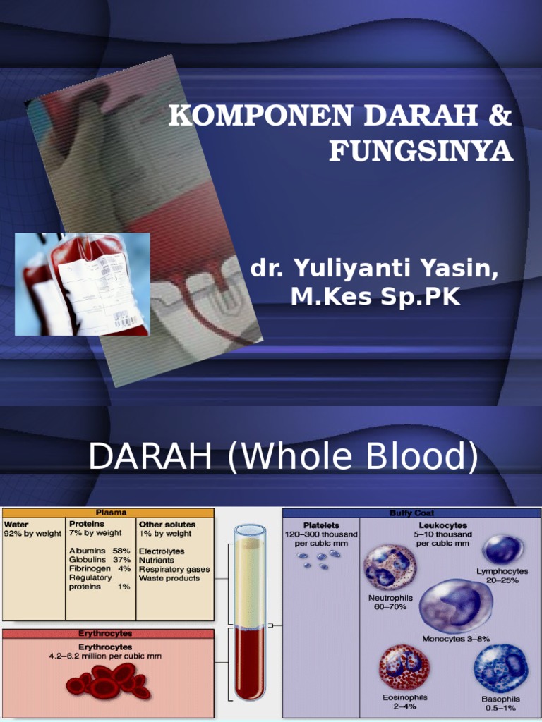 Komponen dan Fungsi Darah Manusia | PDF