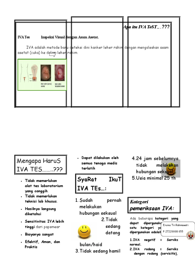 Leaflet Iva Tes | PDF