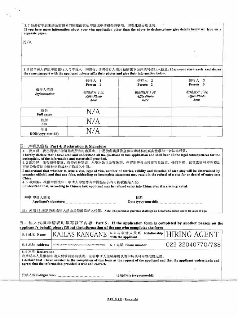 China Form | PDF | National Security | Nationality Law