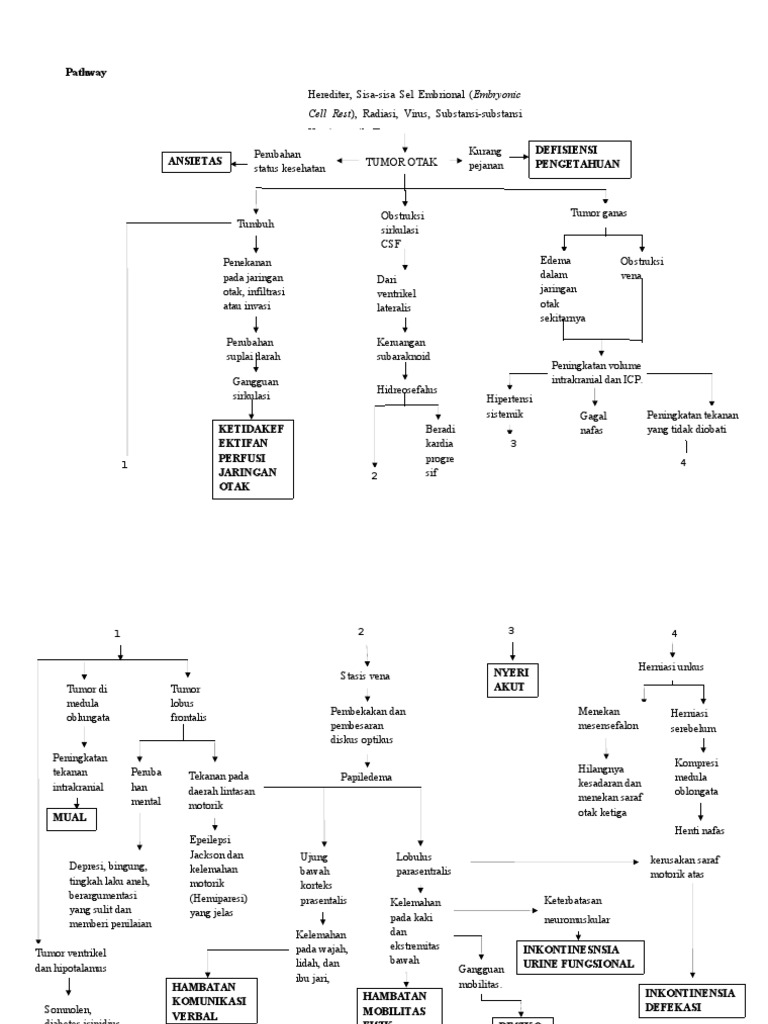 Pathway Sol Serebri | PDF