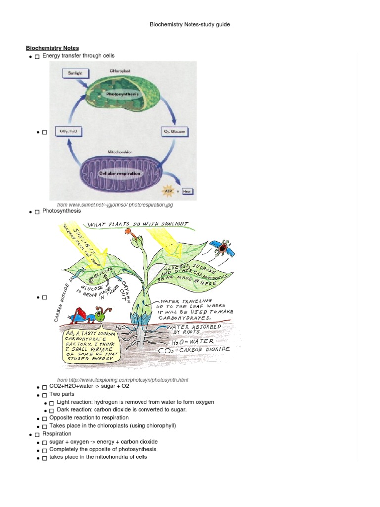Biochemistry Notes-Study Guide | Download Free PDF | Cellular ...