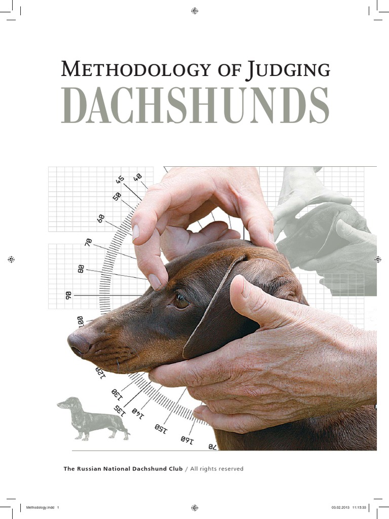Dachshund-Methodology of Judging | PDF | Shoulder | Dachshund