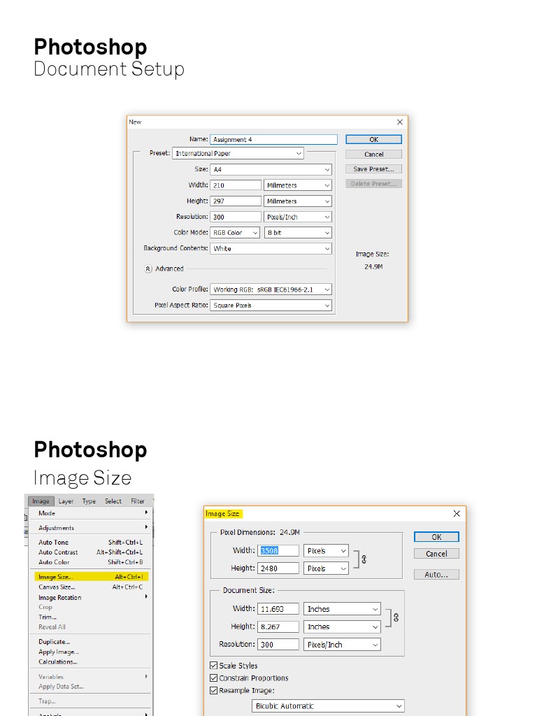 Photoshop Layout Presentation Guide | PDF