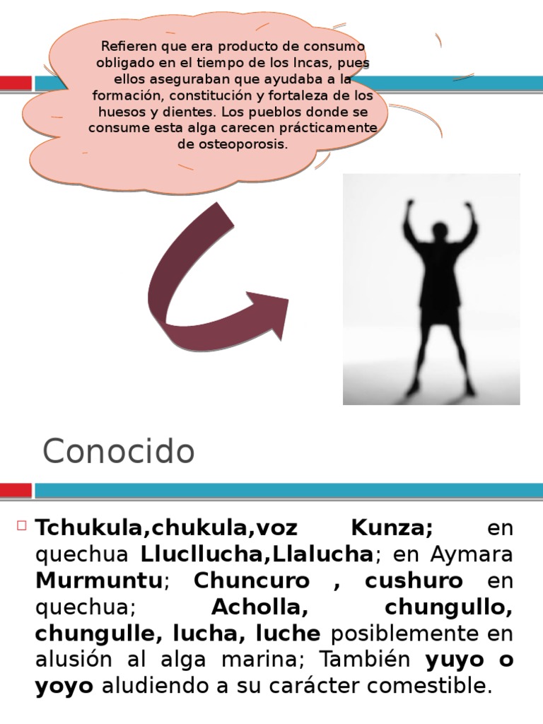 Propiedades y usos del cushuro | PDF | Alimentos | Comida y bebida