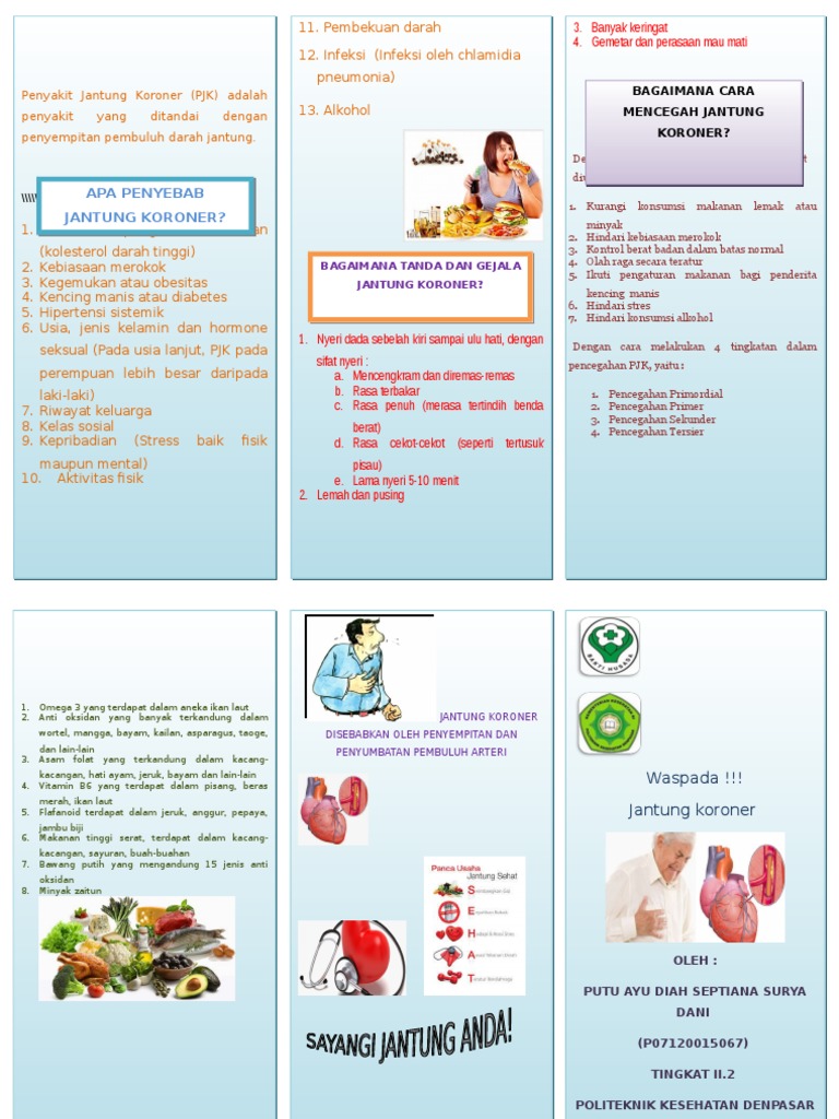 Leaflet Sap PJK | PDF