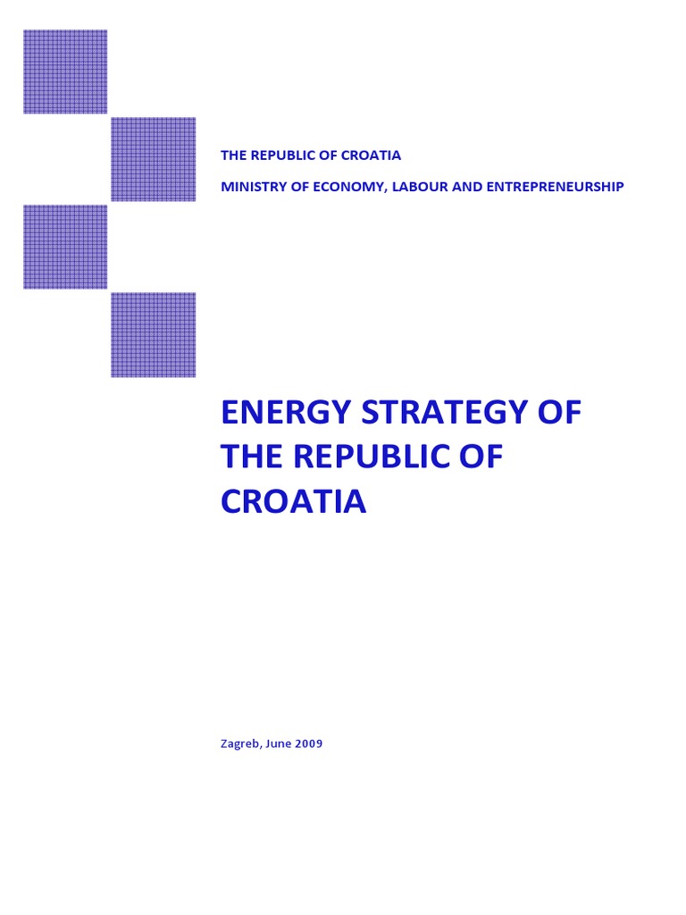 White Paper Energy | PDF | Energy Development | Energy Industry