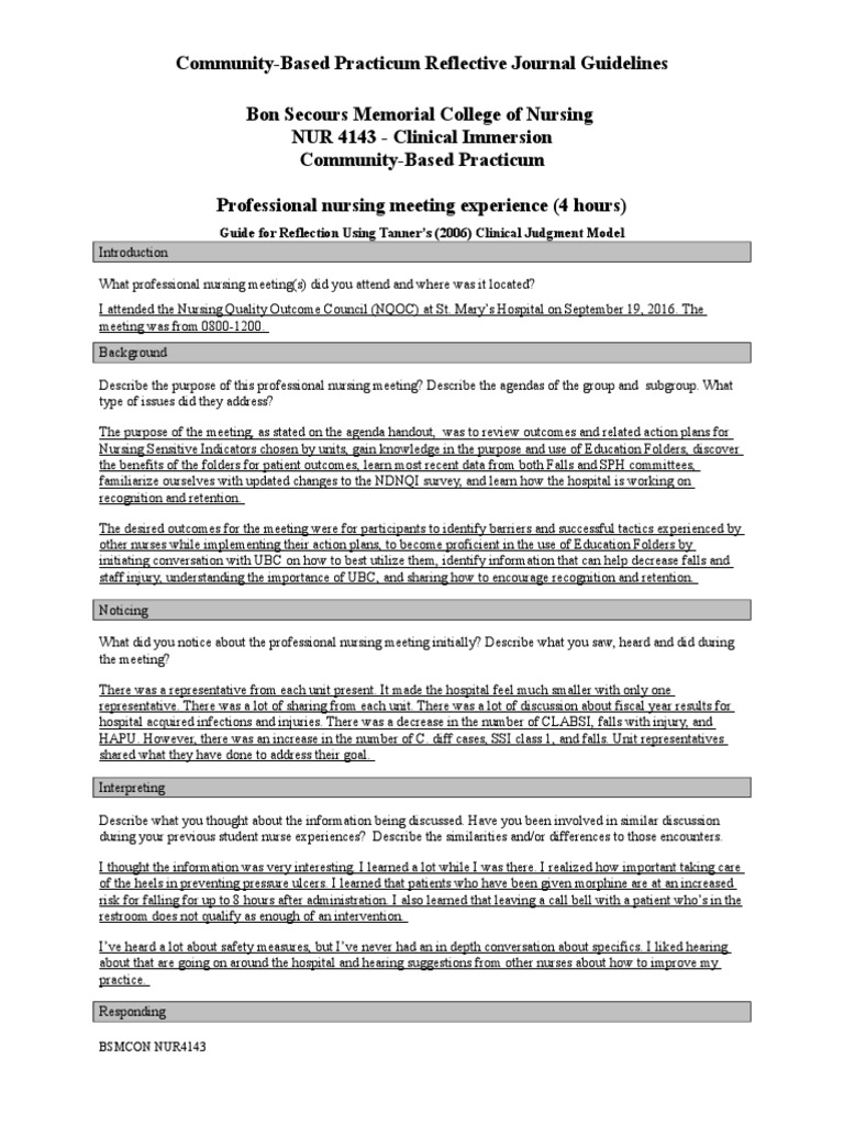 Nursing Practicum Reflection Guide | PDF | Nursing | Patient Safety