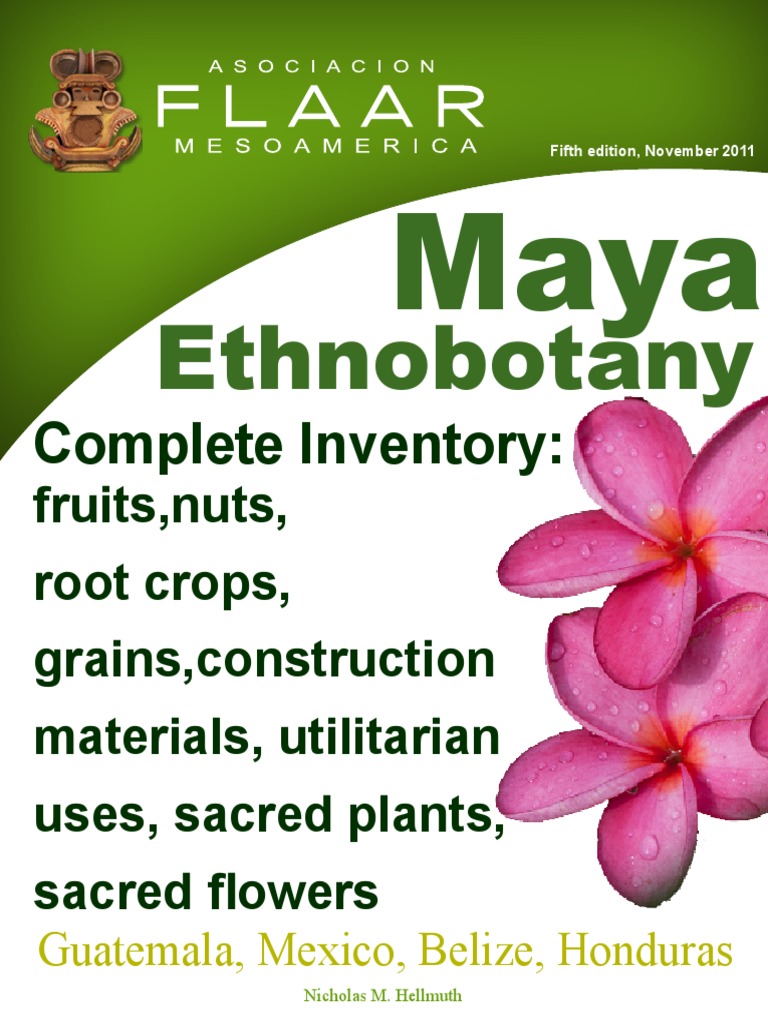 1 Ethnobotany Maya Plant List Annual Report 2011 Catalog 5th Edition ...