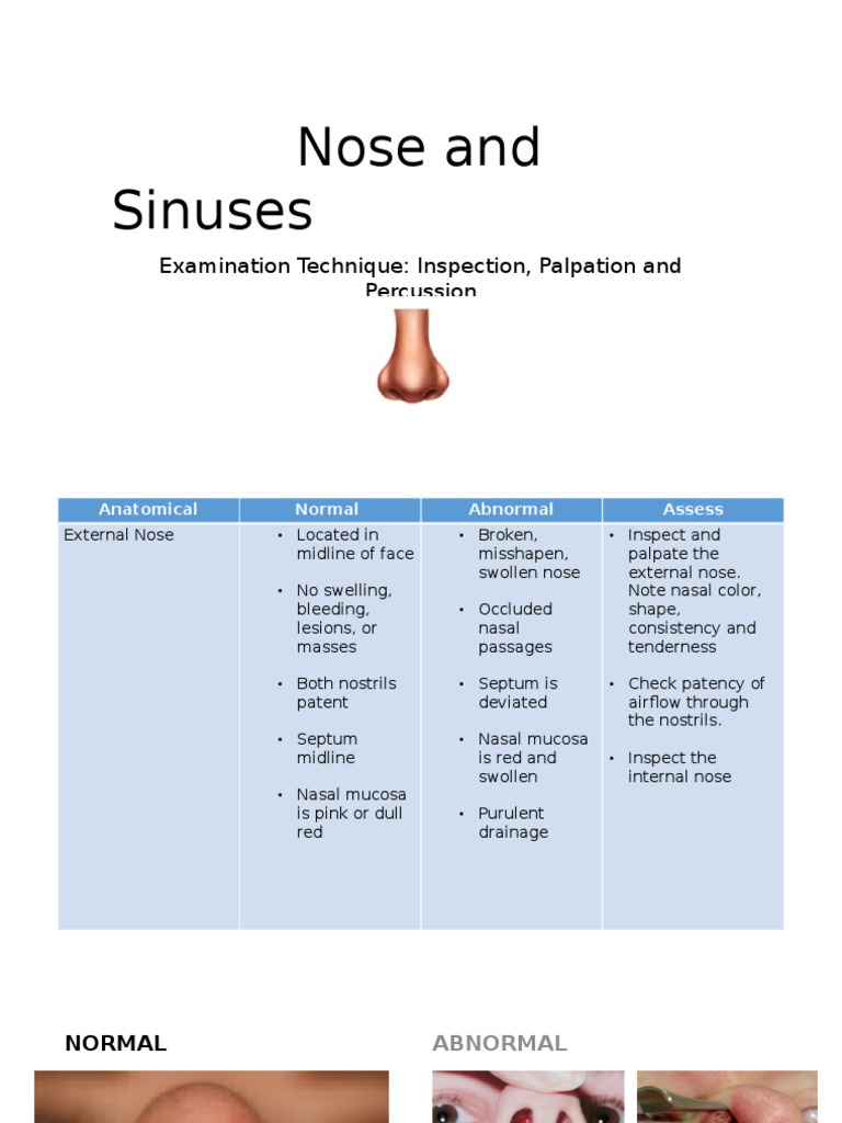 Nose and Sinuses | PDF | Neck | Tongue