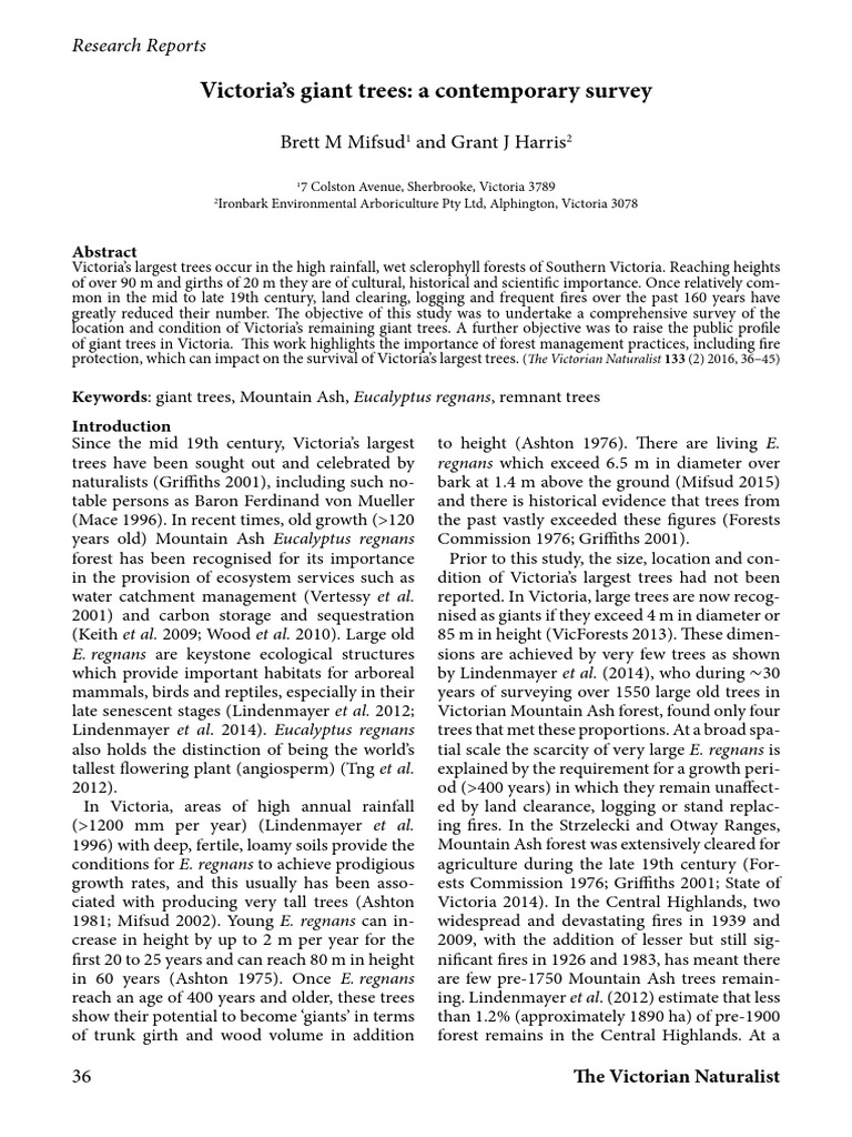Gianttreespdf | Download Free PDF | Natural Resource Management | Trees
