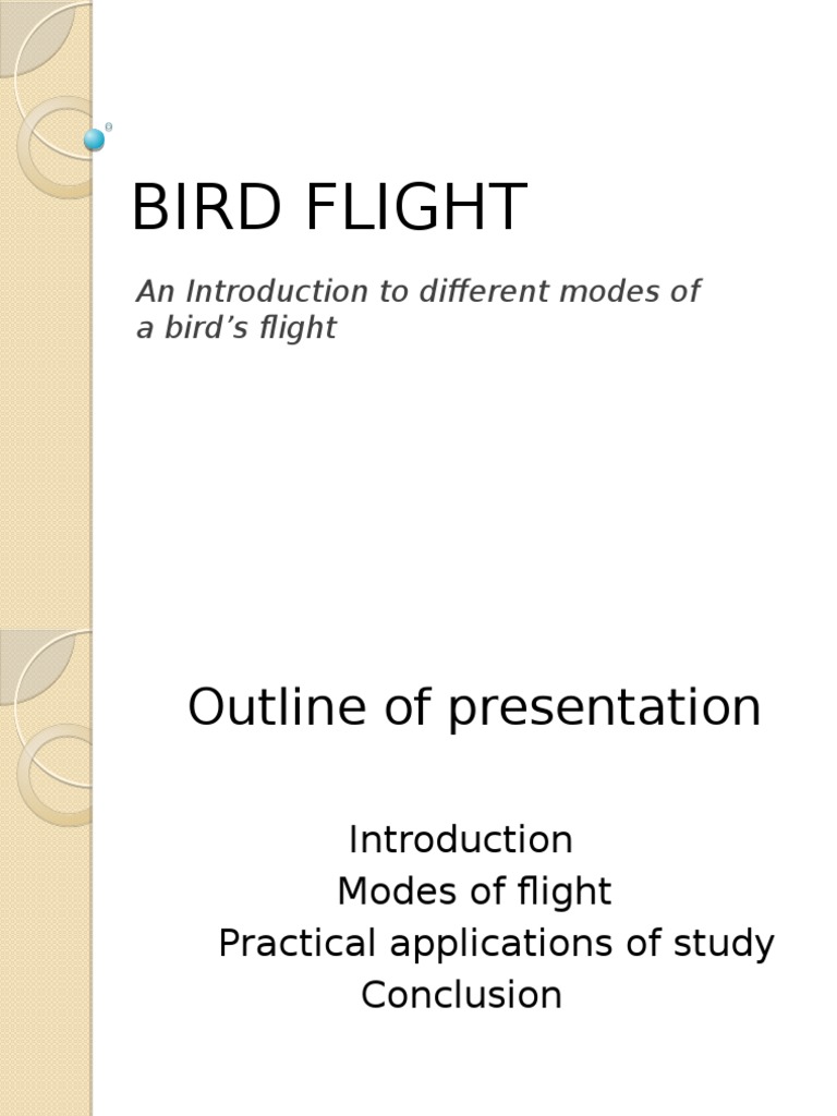 Bird Flight Aerodynamics | PDF | Flight | Wing