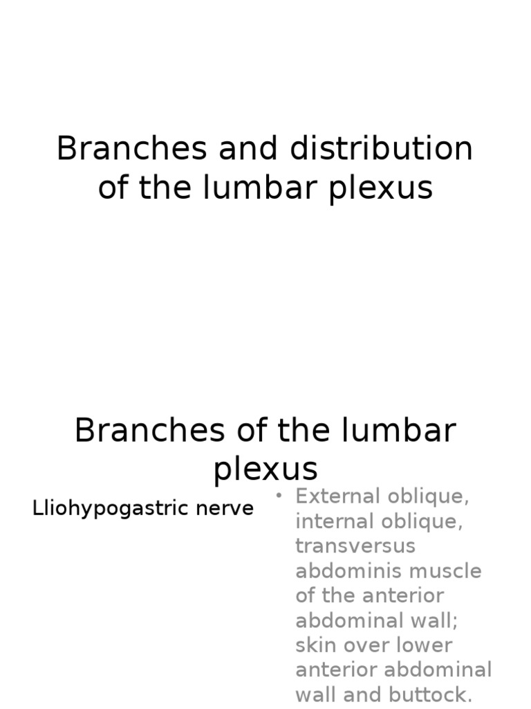 Branches of The Lumbar Plexus | PDF