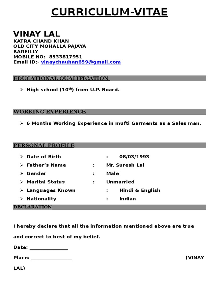 Curriculum-Vitae: Vinay Lal | PDF