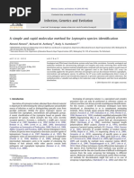 20 Amino Acids | PDF | Amino Acid | Nutrients