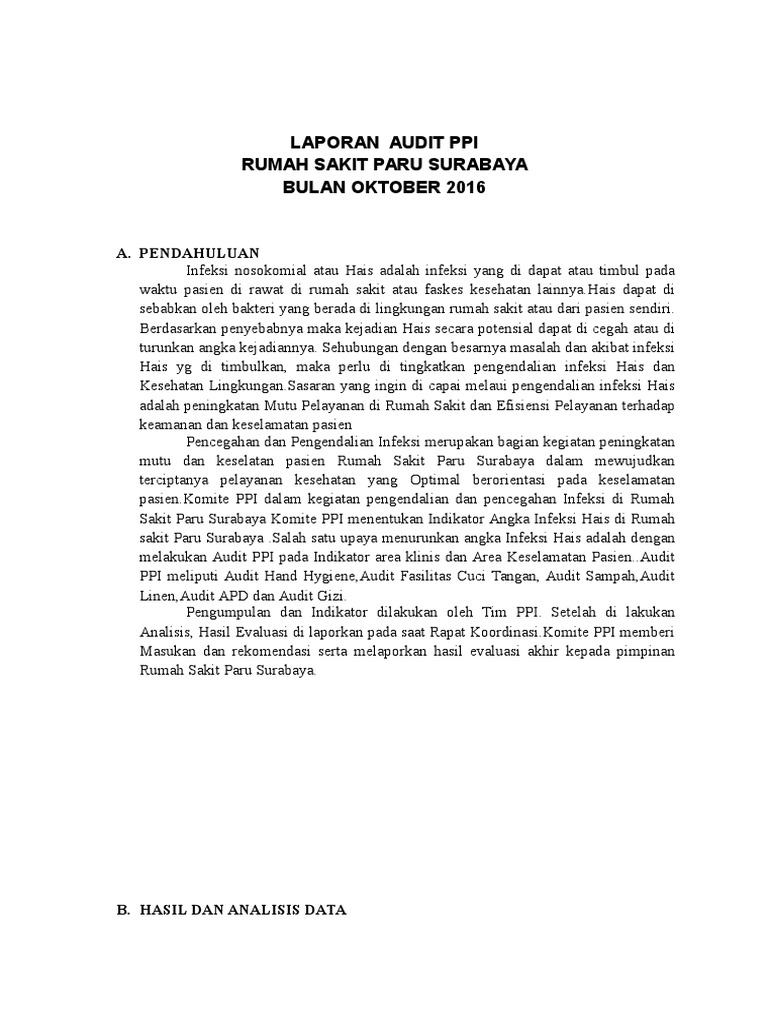 Laporan Audit Ppi | PDF