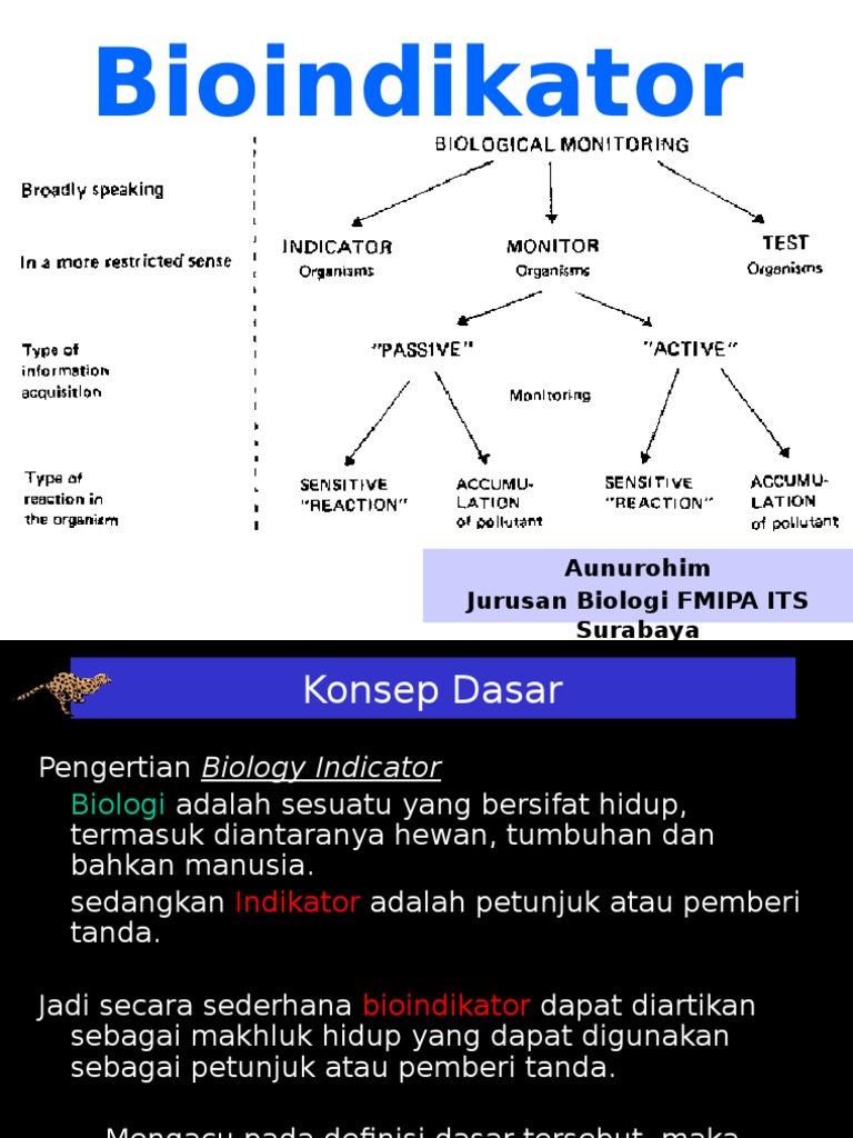 06 Bioindikator-2016 | PDF