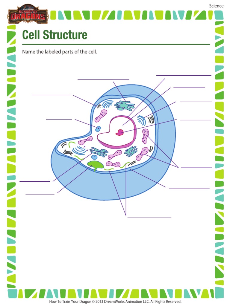 Cell Structure | PDF