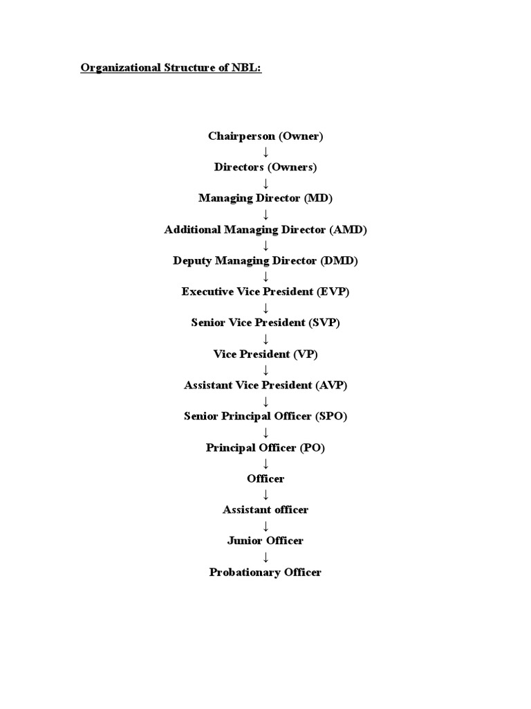 Organizational Structure of NBL | PDF
