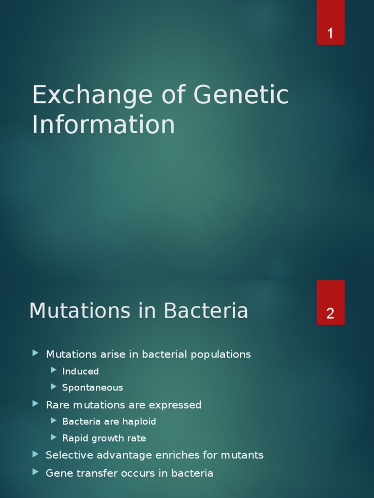 Exchange of Genetic Information | PDF | Bacteriophage | Prokaryote