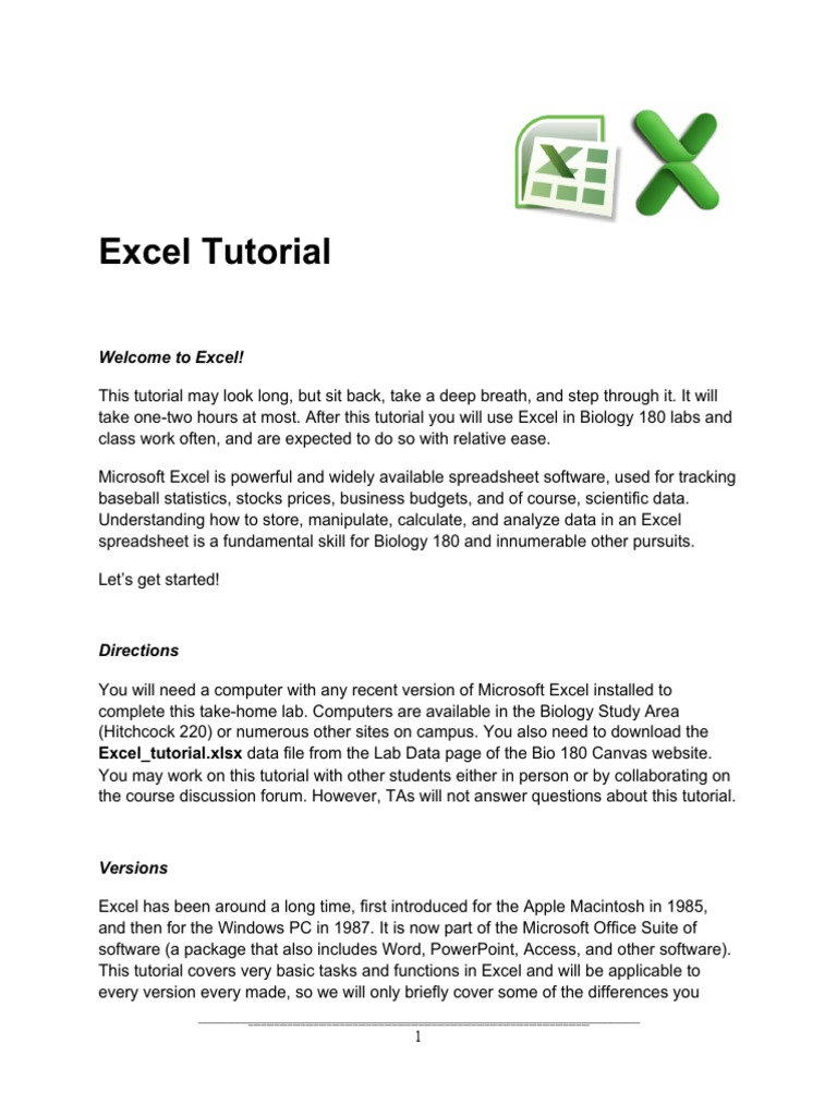 Excel Tutorial Instructions | PDF | Microsoft Excel | Spreadsheet