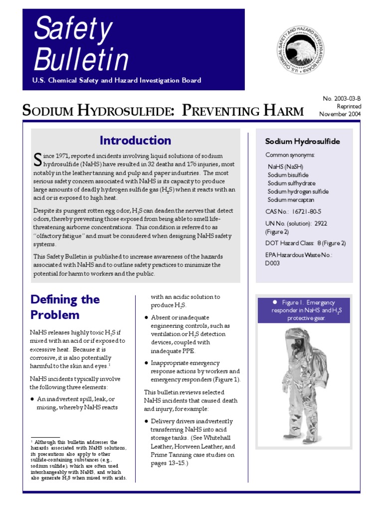 NaHS Safety: Preventing H2S Hazards | PDF | Personal Protective ...