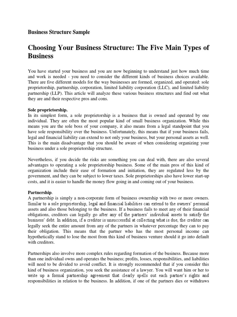 Business Structure Sample PDF | PDF | Limited Liability Company ...
