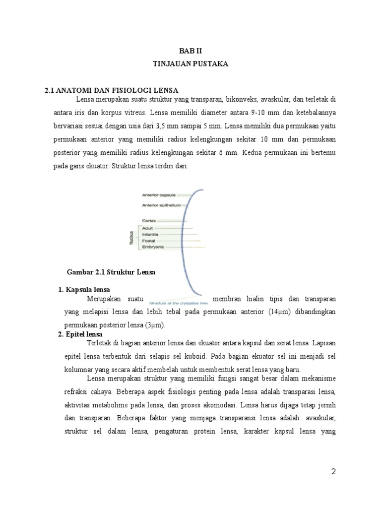 Anatomi dan Fisiologi Lensa dan Traktus Uvea | PDF