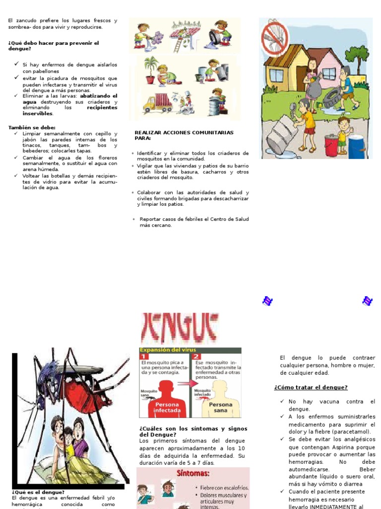 Prevencion Dengue Triptico | Inmunología | Medicina
