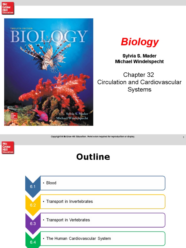 Biology: Circulation and Cardiovascular Systems | PDF | Heart Valve ...