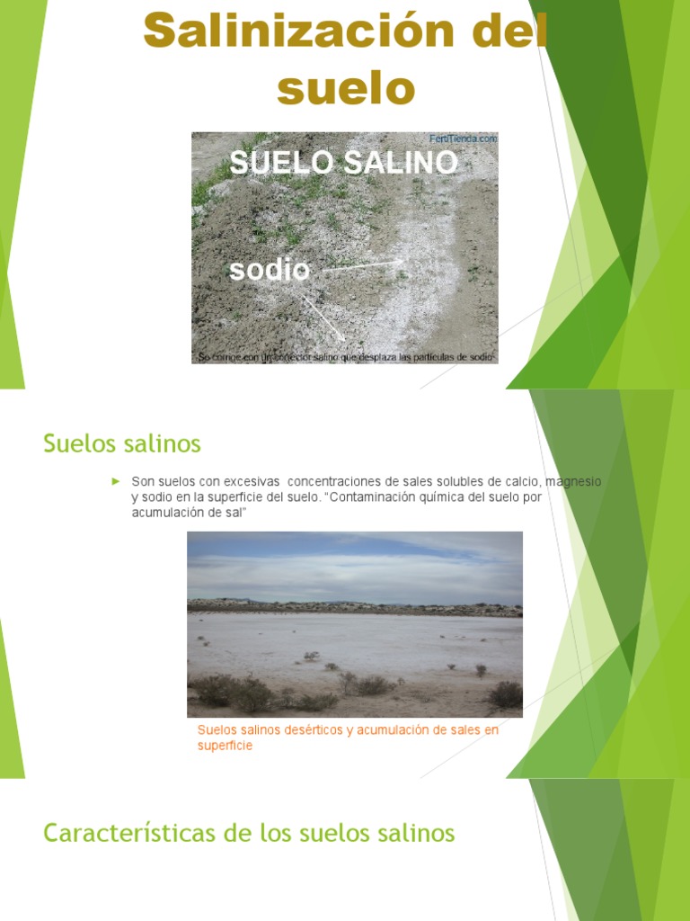 Salinización Del Suelo | PDF | Riego | sal
