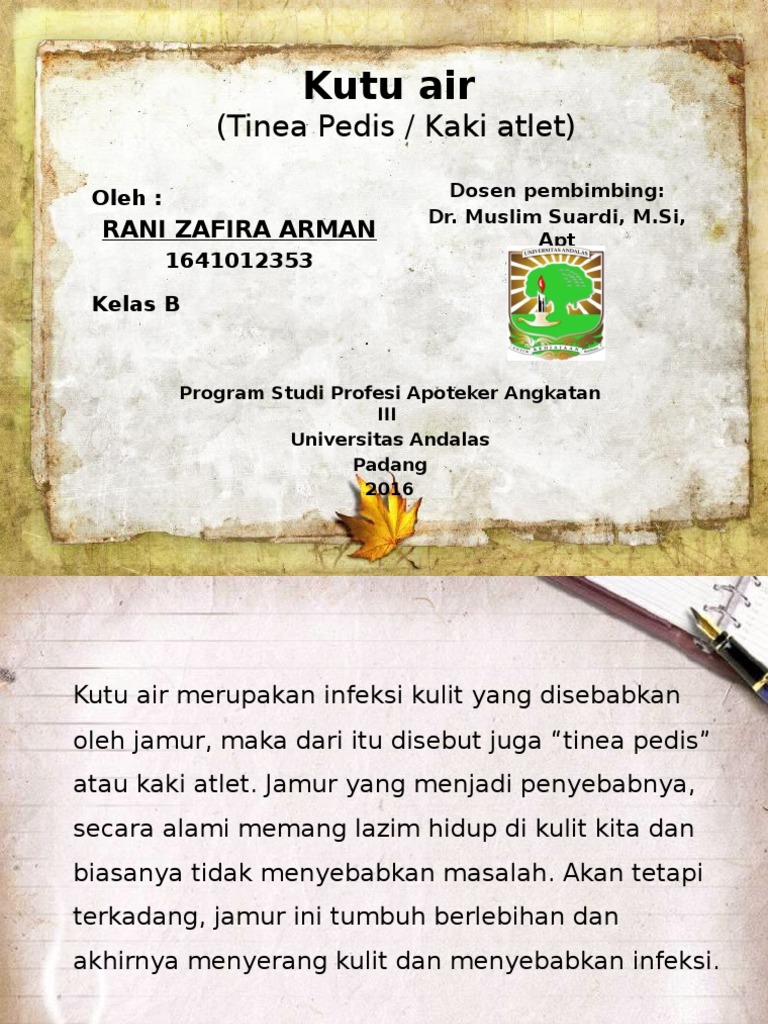 Kutu Air | PDF