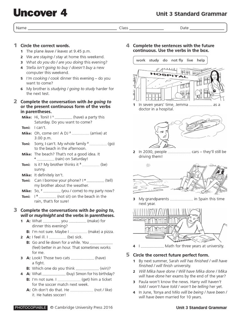 Unit 3 Grammar Standard | PDF
