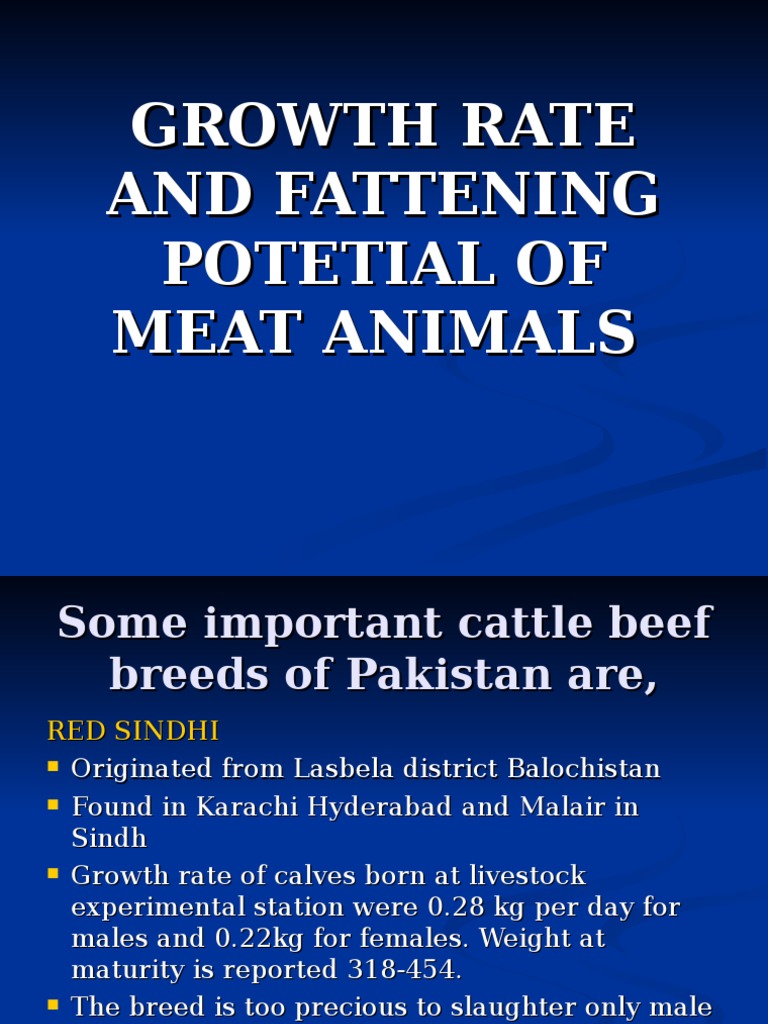 Growth Rate and Fattening Potetial of Meat Animals | PDF | Cattle | Beef