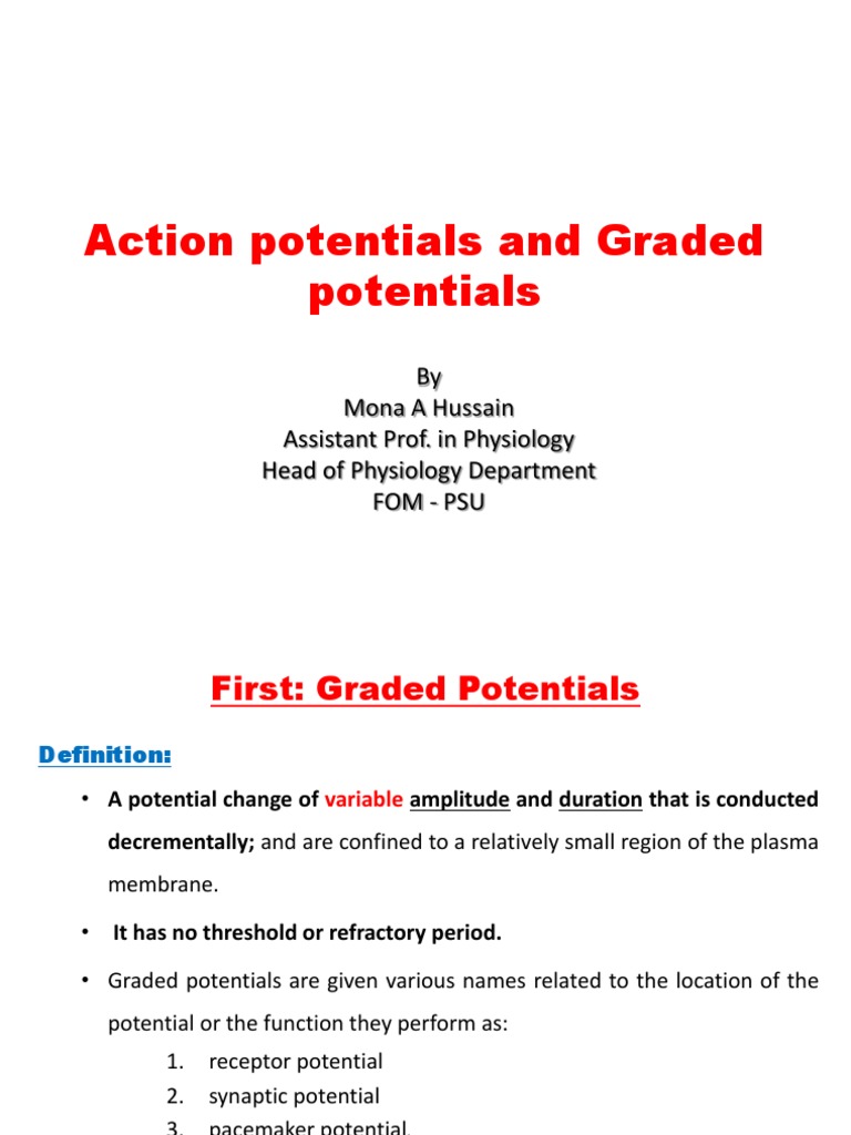 1 - Action & Graded Potentials Lec | PDF | Action Potential | Stimulus (Physiology)