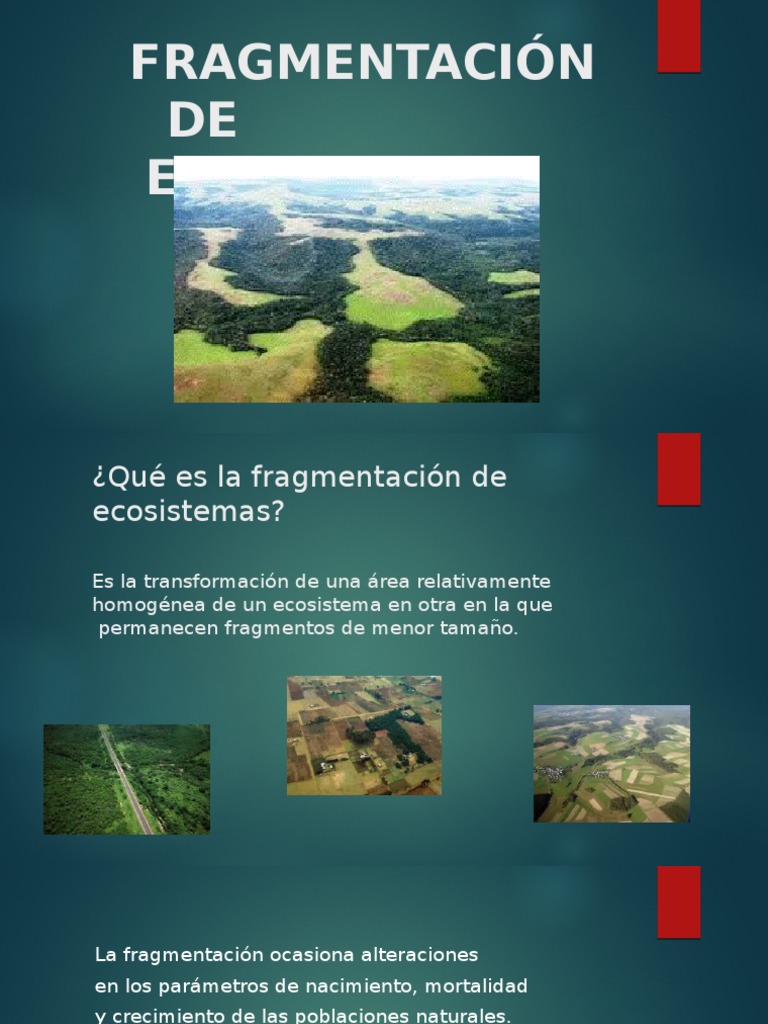 Fragmentación de Ecosistemas Power Point Ecologia (1) | Habitat ...