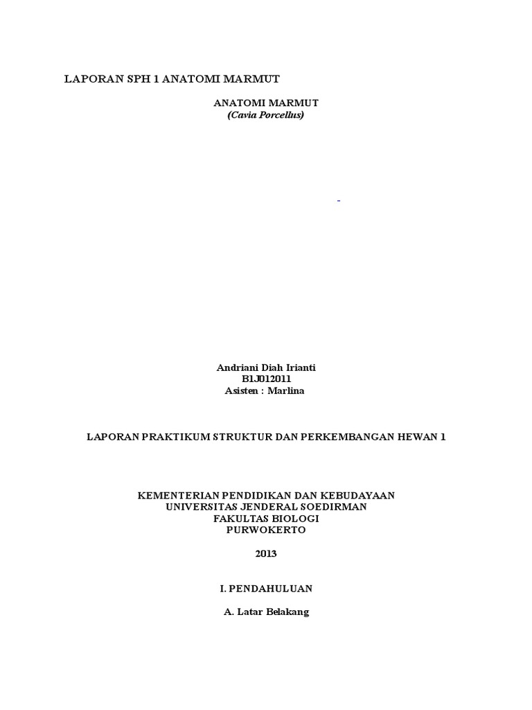 Anatomi Marmut | PDF