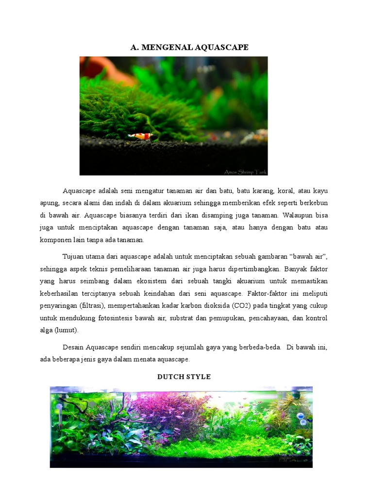 Mengenal Aquascape | PDF | Griya & Taman | Sains & Matematika