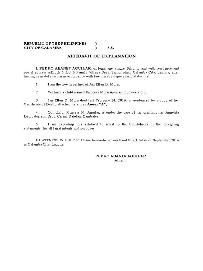 Affidavit of Explanation | PDF