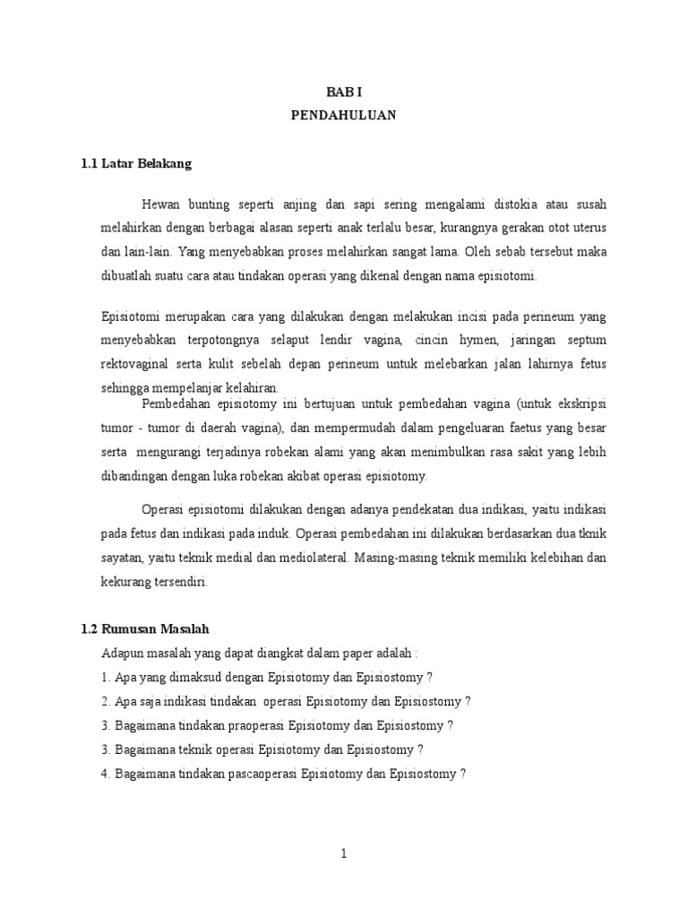 Isi Paper Episiotomy & Episiostomy | PDF