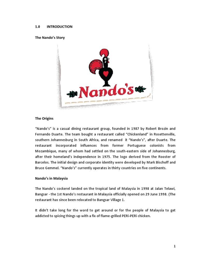 Nandos Marketing | PDF | Market Segmentation | Flavor