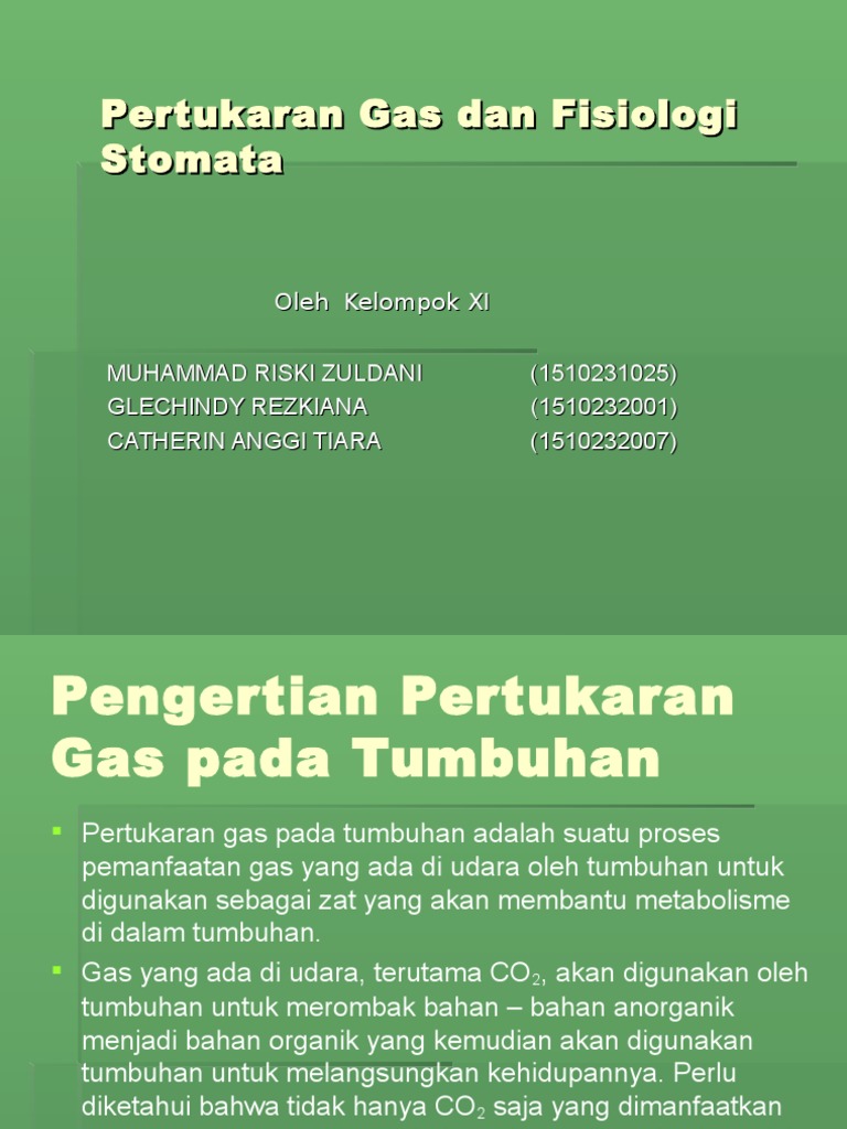 Fisiologi Stomata Dan Pertukaran Gas Pada Tumbuhan Pdf