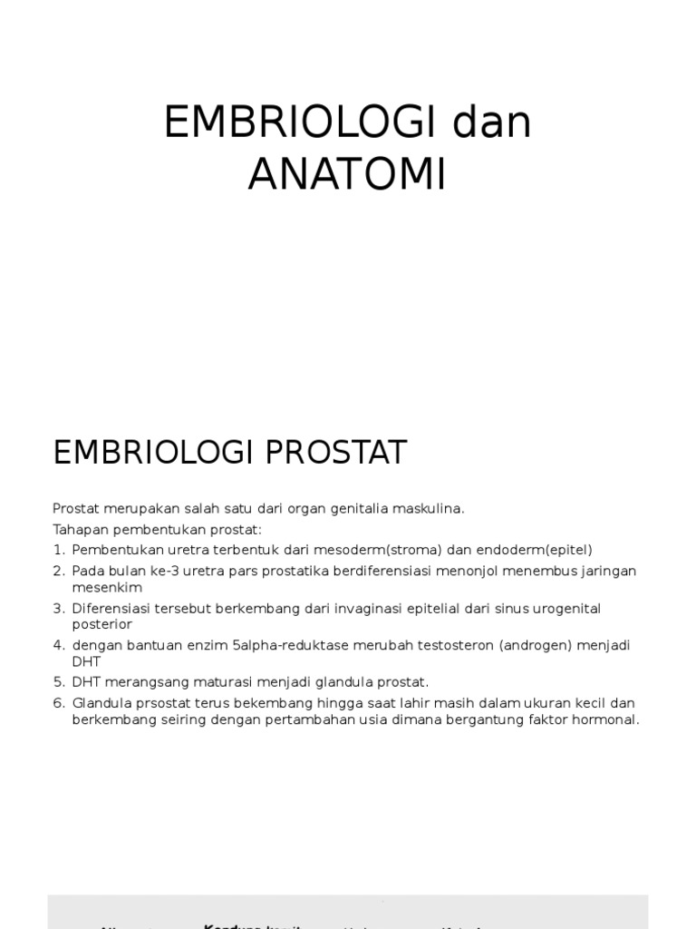 Anatomi Dan Embriologi Prostat | PDF | Ilmu Sosial | Kesehatan Holistik
