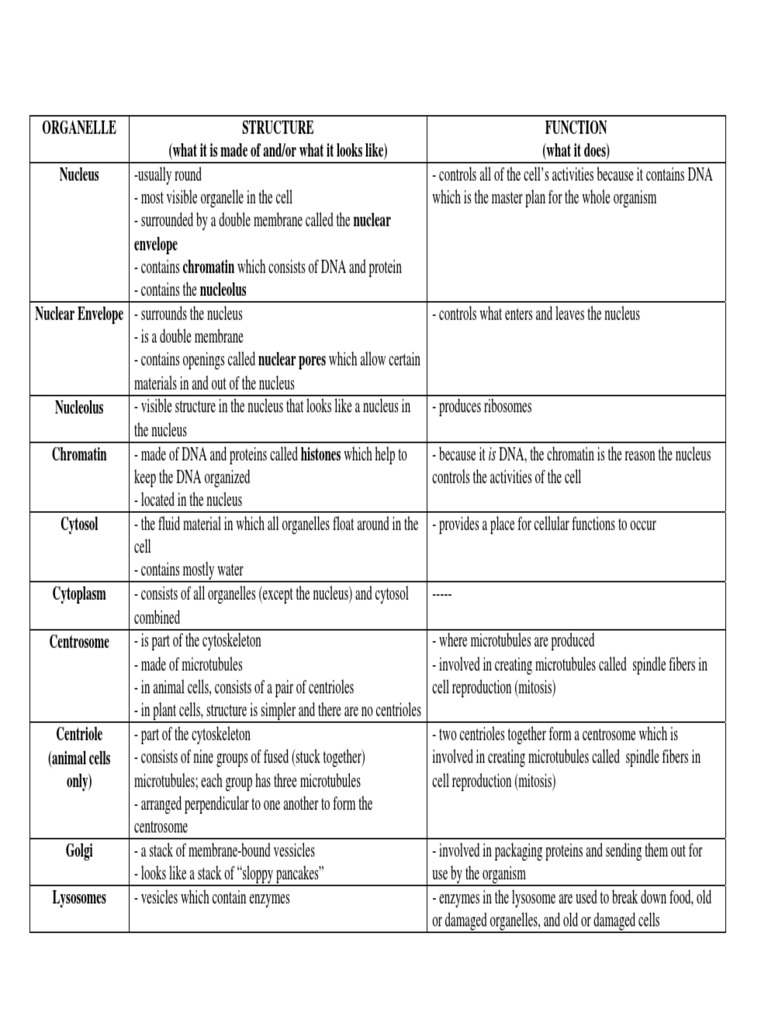 Chart On Cell Organelles | PDF | Cell Nucleus | Cell (Biology)