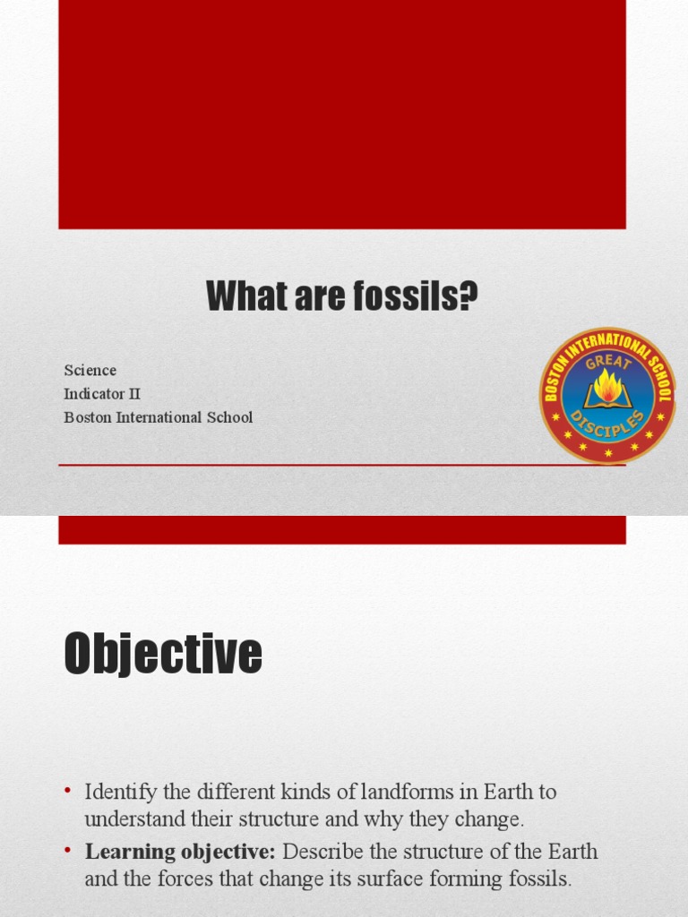 Step 4 Science Fossils | PDF