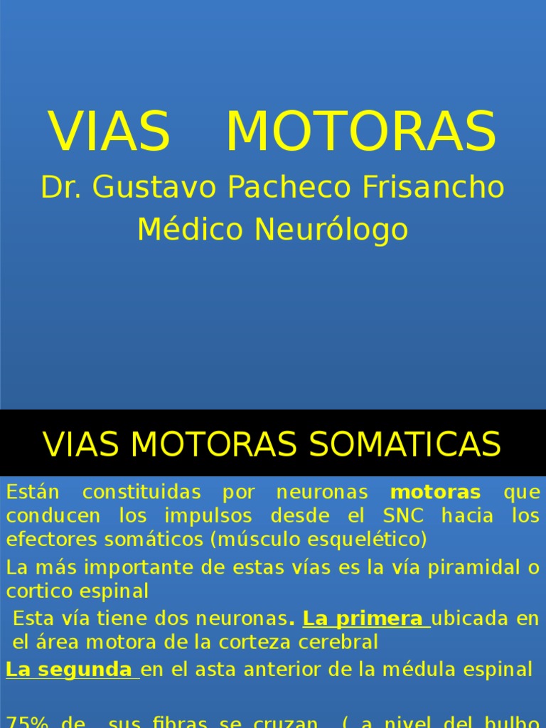 Vias Motoras Somaticas, Sensitivas y Reflejos | Médula espinal ...
